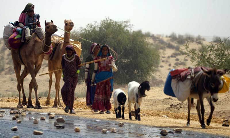 Thar's seasonal migrant families and monsoon - Sindh Climate